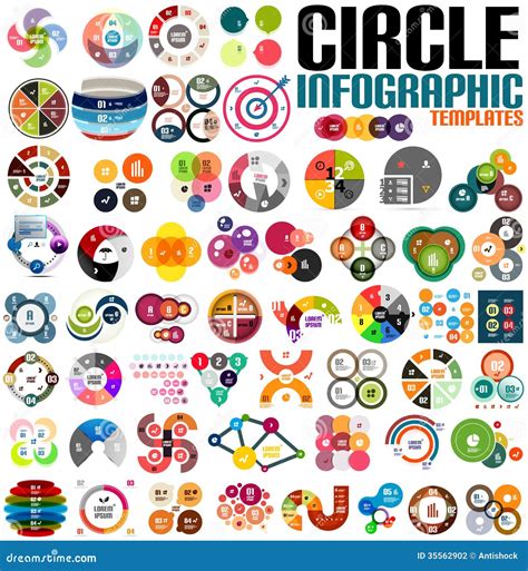 Infographic Design Organization Chart Template Vector Illustration