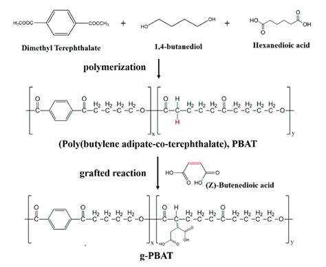 The Reaction Scheme Of Synthesis And Grafted Interaction Of Pbat