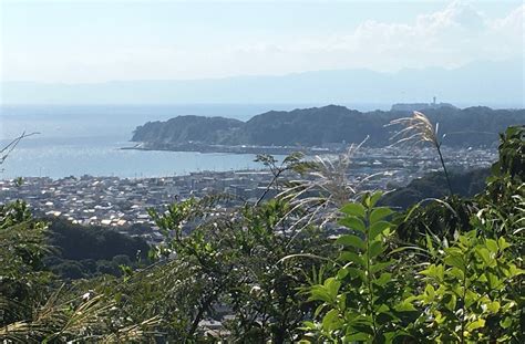 鎌倉衣張山ハイキングコースを歩く あかぎやま絵日記ブログ