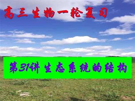 生态系统的结构一轮复习课件 word文档在线阅读与下载 无忧文档