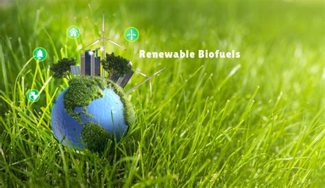 Elevate Your Excellence In Science At The Best Science University In Raipur