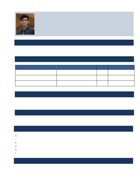 c v zaid hassan updated pdf