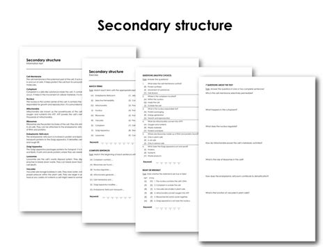 Secondary Structure Made By Teachers