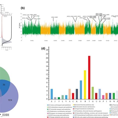 Complete Identification Of Selection Signatures For The Population In A Download Scientific