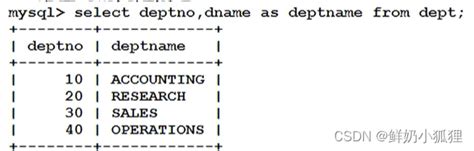 sql dql查询语句（一） sql逗号隔开的字段怎样查询 csdn博客