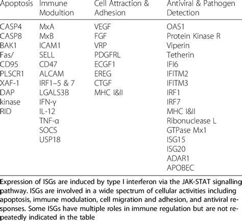 Summary Of Interferon Stimulated Genes Isgs Download Table