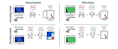 Comparing Encoding And Decoding Weights An Example Of How Using An