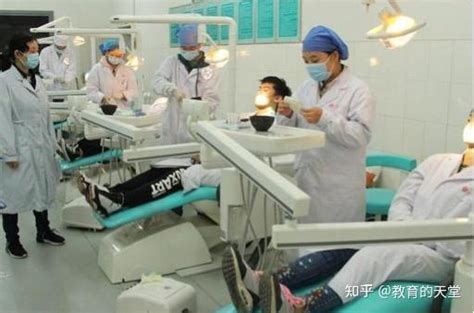 医学门类专业：不只有临床医学类专业，但影响最大的还是临床医学 知乎