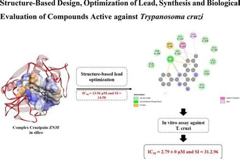 基于结构的设计、先导化合物的优化、合成和对克氏锥虫活性化合物的生物学评价 Chemical Biology And Drug Design X Mol