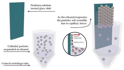 Synthesis And Spatial Order Characterization Of Controlled Silica Particle Sizes Organized As