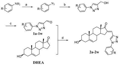 Design And Synthesis Of Novel Dehydroepiandrosterone Analogues As