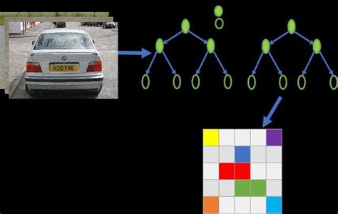 9 texton patches and binary decision trees download scientific diagram