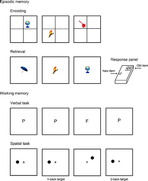 Events During The Encoding And Retrieval Phases Of The Source Memory Download Scientific