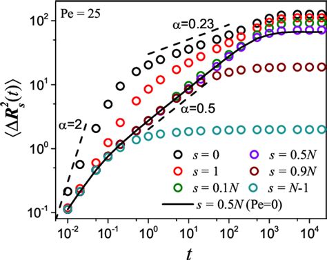 Figure 4 From Anomalous Diffusion Of Active Brownian Particles Cross Linked To A Networked