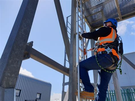 Fixed Ladder Fall Protection System