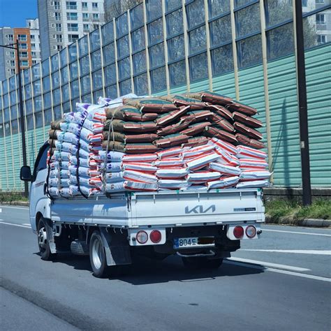 잇싸 치면 죽는다 한 장