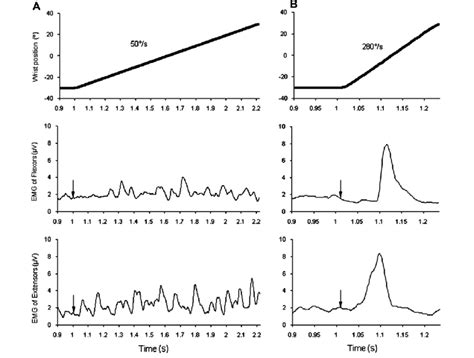 Illustration Of Joint Angular Position And Emg Activities In Wrist Download Scientific Diagram