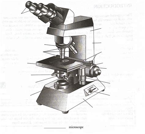 Microscope Labeling Diagram Quizlet