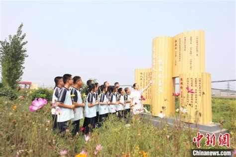 中国新闻网河北