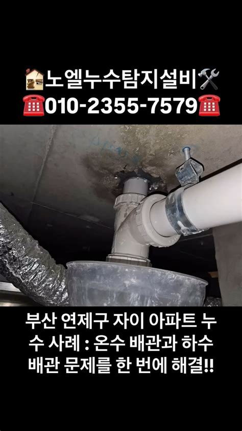 부산누수탐지 경남누수탐지 해운대누수탐지 북구누수탐지 양산누수탐지 네이버 블로그 연말 설물이 도착했네요 ”데이터로 보는 올해 내 블로그 요약 을 열어보니 정말 상세하게
