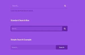 CSS Stylish Search Box Design In Plain HTML Codeconvey