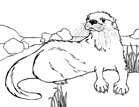 Coloring Pages Otters