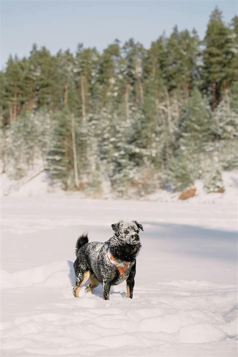 Reallysusanimegirlsnoblur Photos Download The Best Free Really