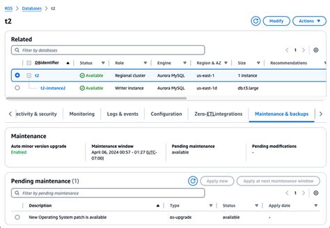Aurora 資料庫叢集的作業系統更新 Amazon Aurora