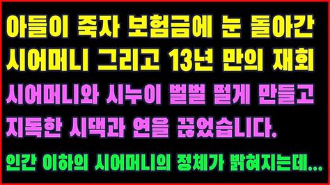 실화사연 아들이 죽자 보험금에 눈 돌아간 인간같지도 않은 시어머니 그리고 13년 만의 재회 시어머니와 시누이를 벌벌 떨게 만들고 지독한 시댁과 연을 끊었습니다 사이다