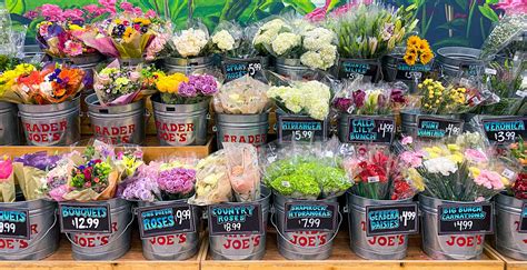 Trader Joes Jobs Bellevue At Elizabeth Gunther Blog