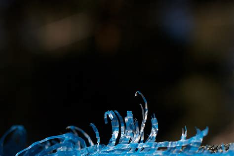 無料画像 水 夜 写真 太陽光 葉 花 反射 闇 青 閉じる クールな画像 マクロ撮影 コンピュータの壁紙