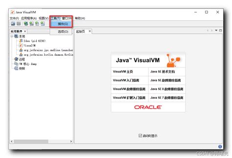 【java 虚拟机原理】垃圾回收算法 Java Visualvm 工具 安装 Visual Gc 插件 使用 Java 【java 虚拟机原理】垃圾回收算法 Java Visualvm 工具 安装 Visual Gc 插件 使用 Java