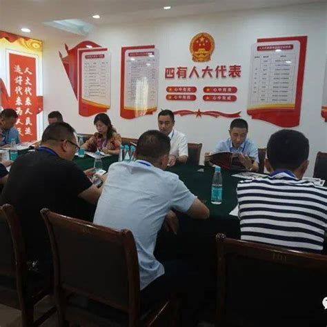 基层宝塔镇人大组织代表开展视察调研活动建议项目全镇