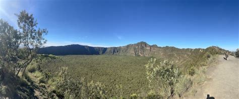 Ashini Patel On Linkedin Mondaymotivation 12 Comments