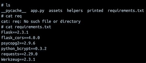 Discovering A Dependency Confusion In A Popular Third Party Python Dependency Resolver