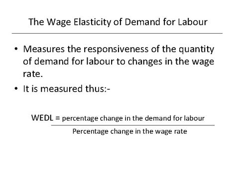 The Labour Market Wage Elasticity Of Demand For