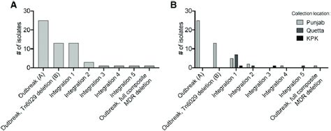 A Distribution Of The Genomic Architecture Variations Among All