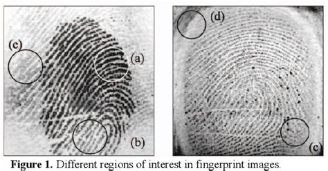 Figure 1 From Image Segmentation For Fingerprint Recognition Semantic