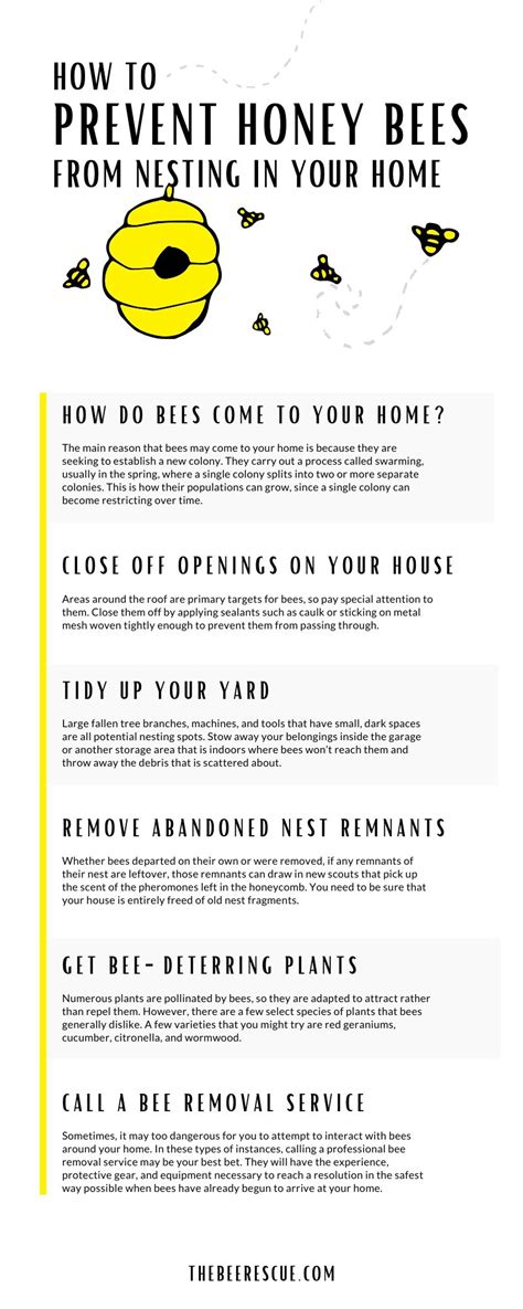 How To Prevent Honey Bees From Nesting In Your Home Honey Bee Rescue