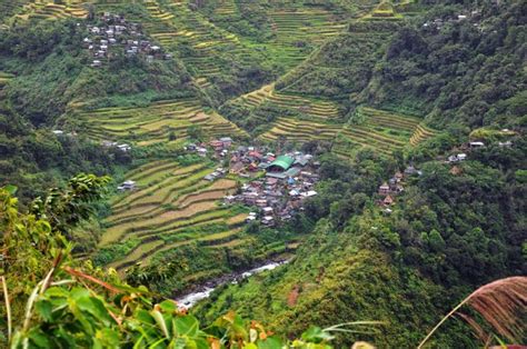Ifugao Rice Terraces Trek And Manila Inn To Inn Walking Trips By