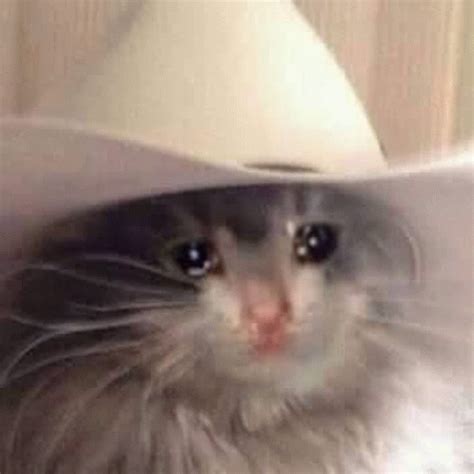 Michi Sad Discord Sofix Meme Michi Sad Discord Sofix Discover