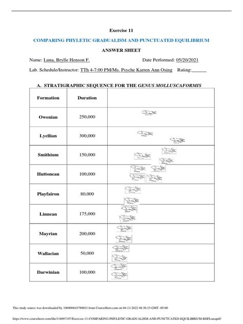 Exercise 11 Comparing Phyletic Gradualism And Punctuated Equilibrium