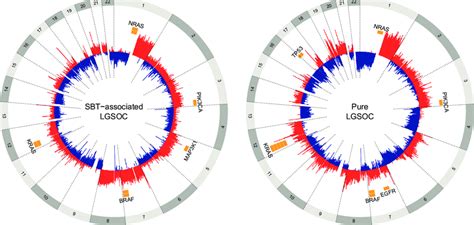 Circos Plot Showing Oncogene Hotspot Mutations And The Large Scale Cnas Download Scientific