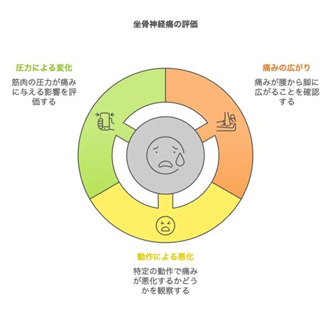 坐骨神経痛はどこが痛いか分からない方必見！セルフチェック方法 逗子市の桜山鍼灸整体整骨院