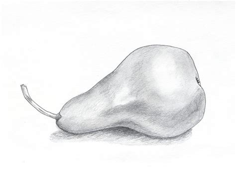 Pear Drawing At PaintingValley Com Explore Collection Of Pear Drawing