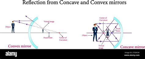Convex Mirrors And Concave At Holly Standley Blog