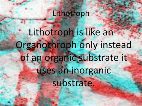 Ppt Bacterial Metabolisms Powerpoint Presentation Free Download Id 2685504