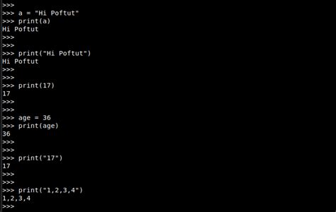 Python示例如何通过示例使用python打印功能教程 Csdn博客