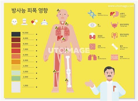 방사능영향001 Ill265 유토이미지 일러스트 다이어그램 디자인 정보 데이터 지식 그래픽 방사능 원자력발전소 사고 사건 위험 방사선 피폭 영향