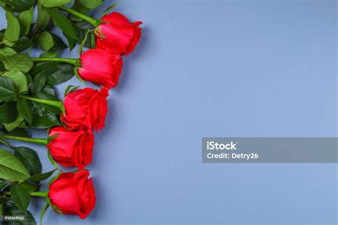 파스텔 종이에 회색 배경에 핑크 장미 텍스트에 대 한 공간을 복사 합니다 3 월 8 일 어머니의 날에 대 한 템플릿입니다 결혼식에 대한 스톡 사진 및 기타 이미지 Istock